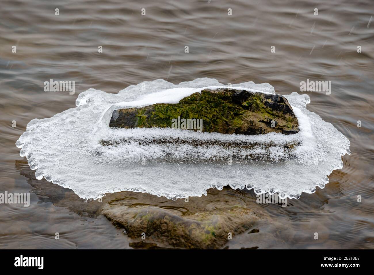 Beginning of the winter, Ice forms on the vegetation across the river ...