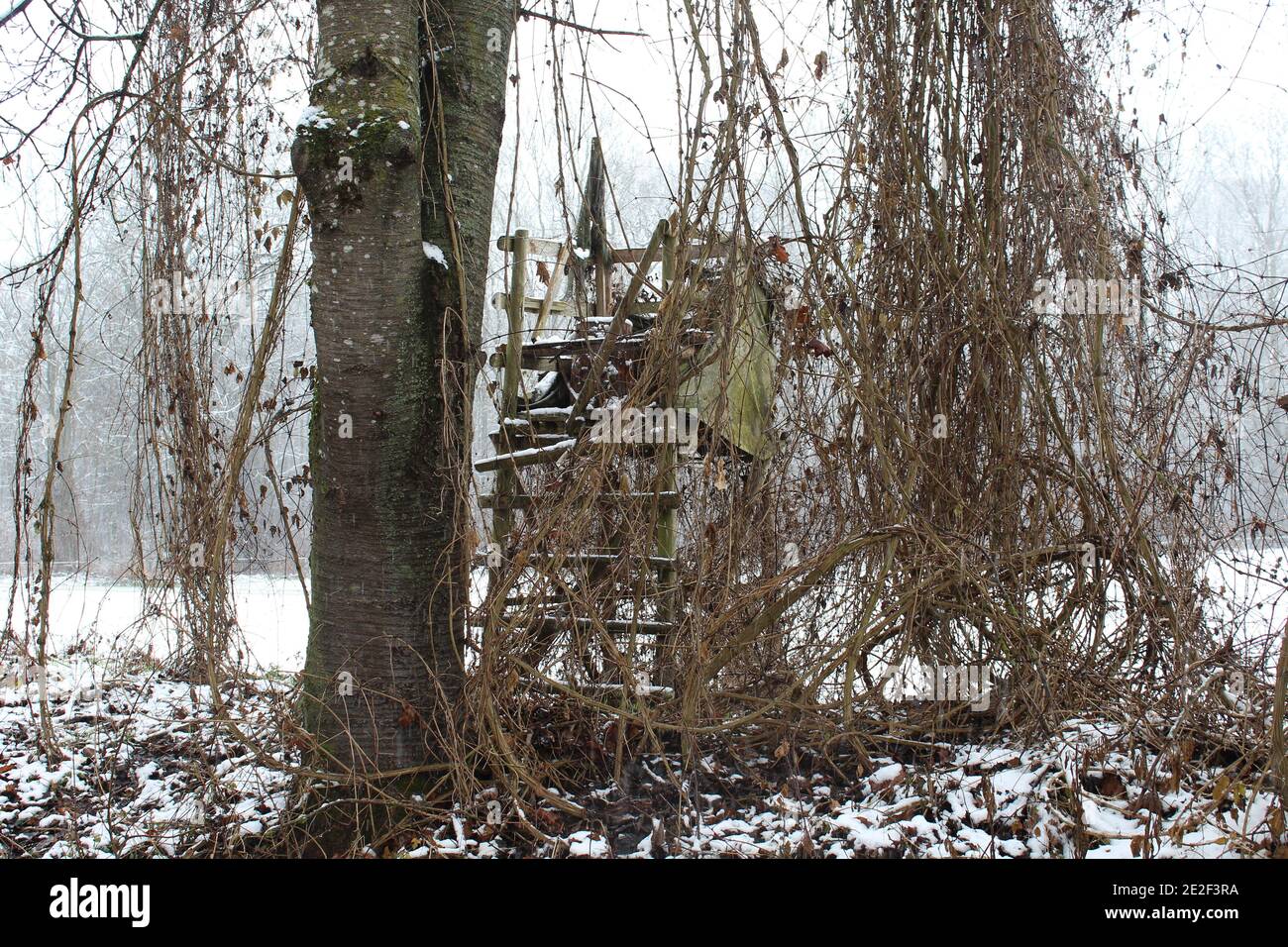 Wooden hunting hut in frozen hi-res stock photography and images - Alamy