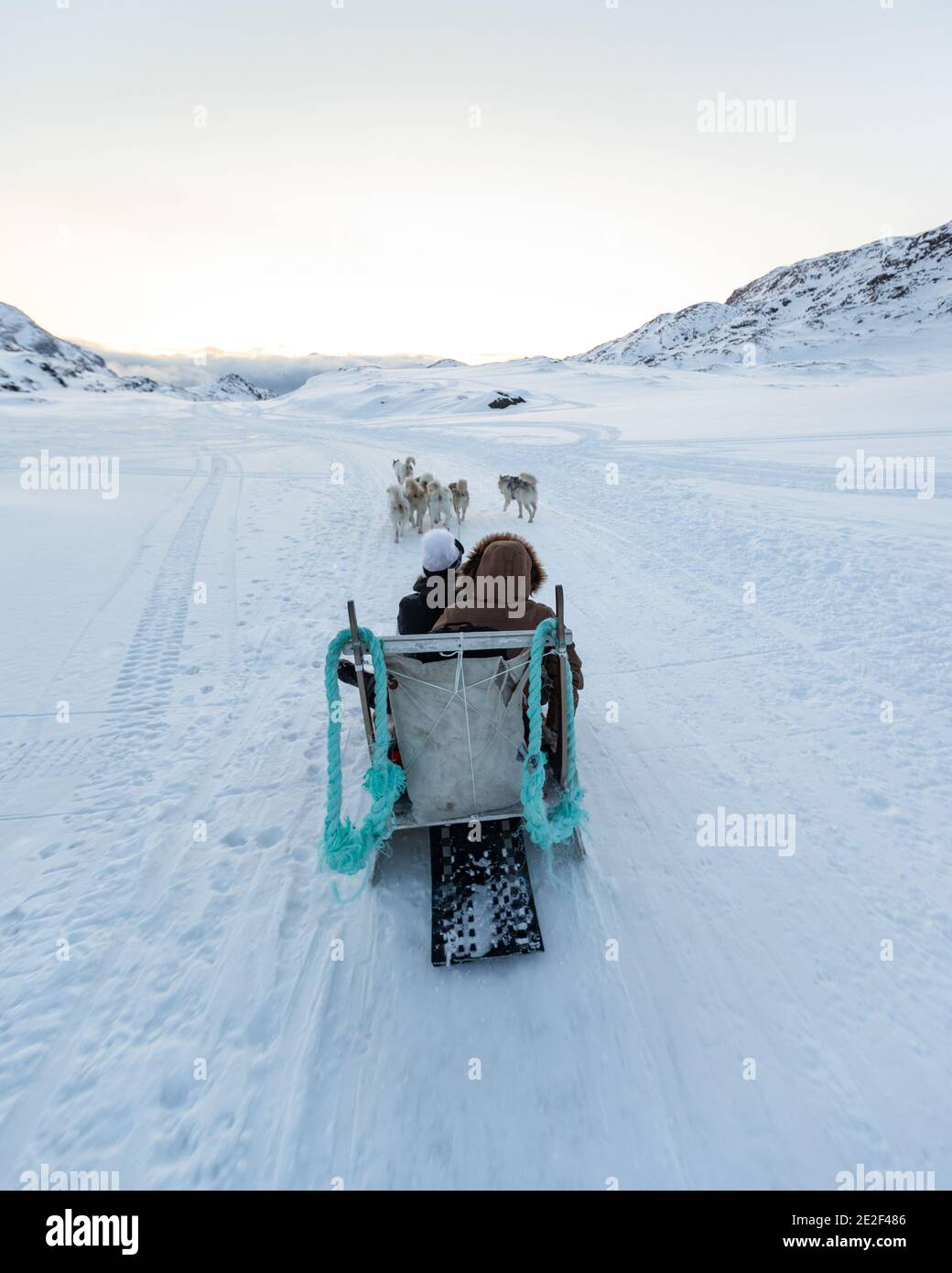 Riding a dog hi-res stock photography and images - Alamy