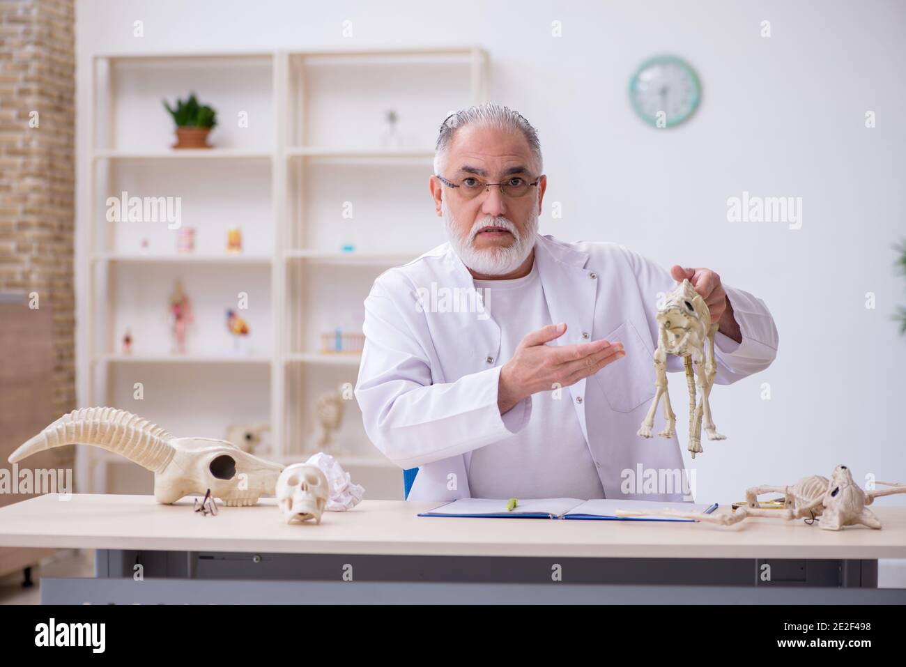 Old paleontologist examining ancient animals at lab Stock Photo - Alamy