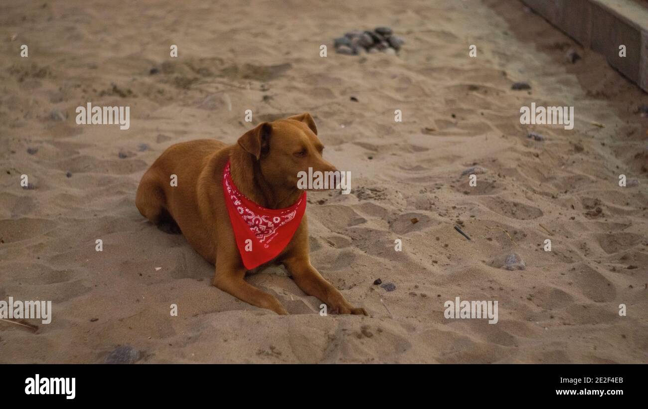 Cerro perro hi-res stock photography and images - Alamy