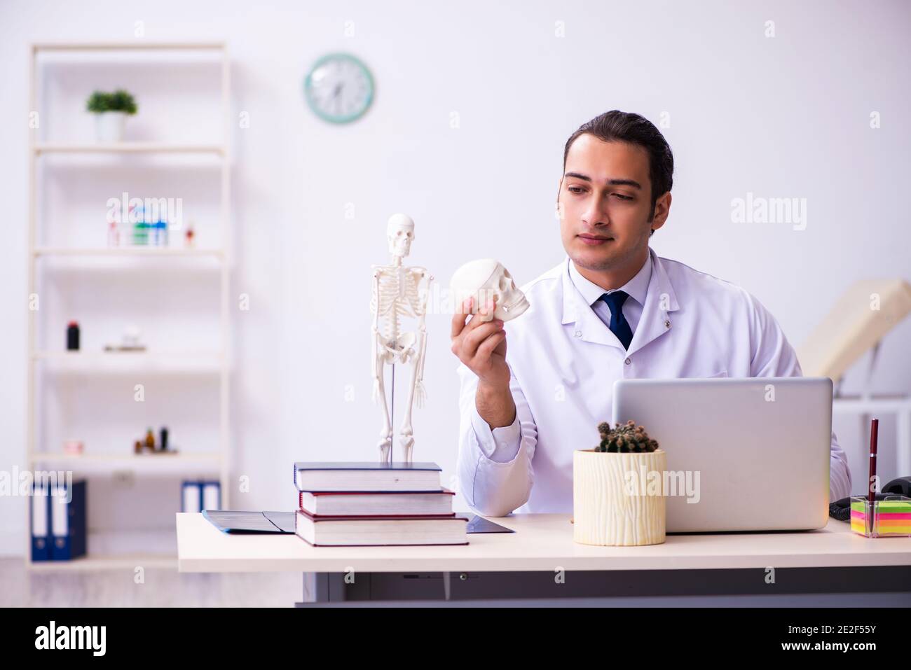 Young doctor studying human skeleton Stock Photo - Alamy