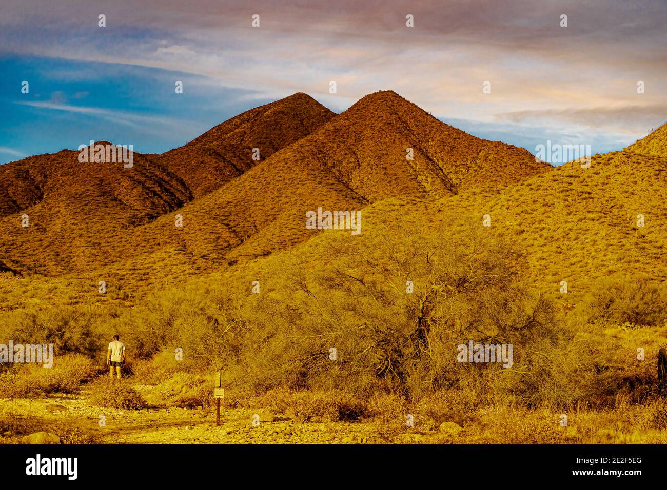 Cholla trail vista hi-res stock photography and images - Alamy