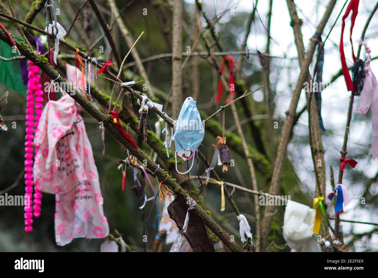 Cloth strips hi-res stock photography and images - Alamy