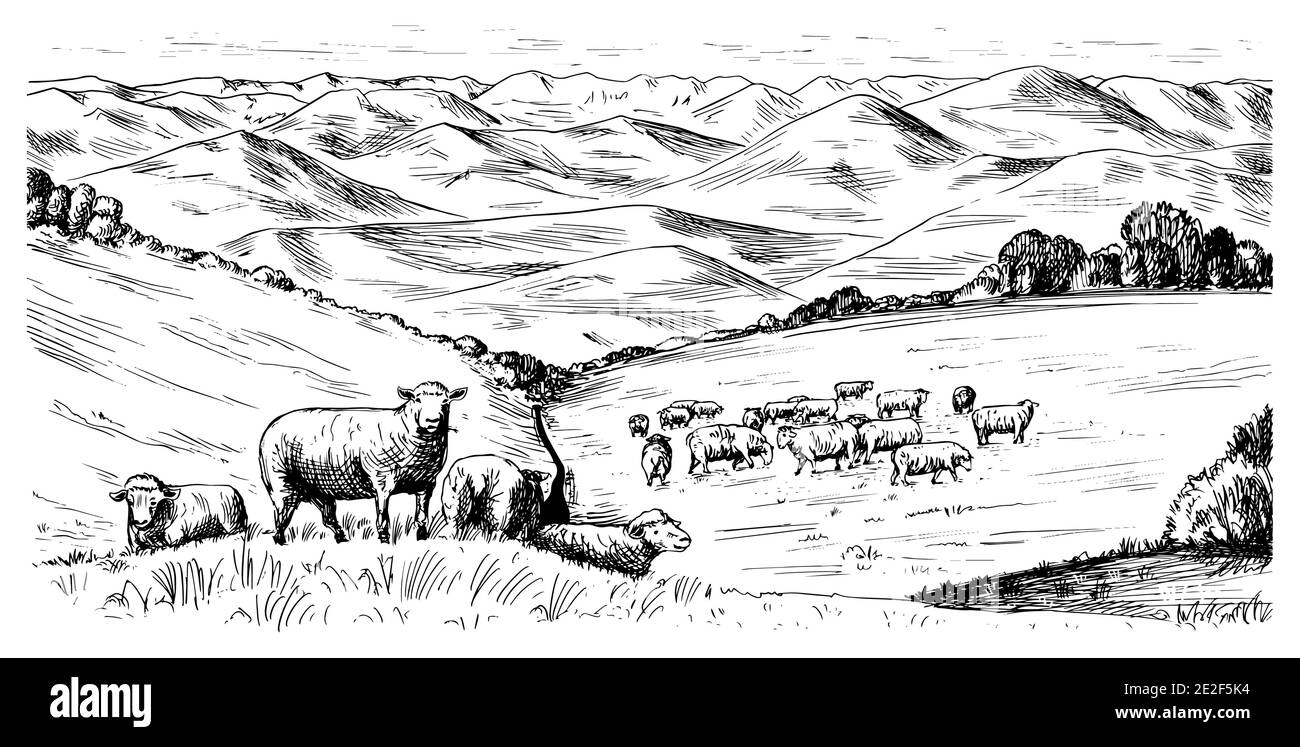 Country village sketch hi-res stock photography and images - Alamy