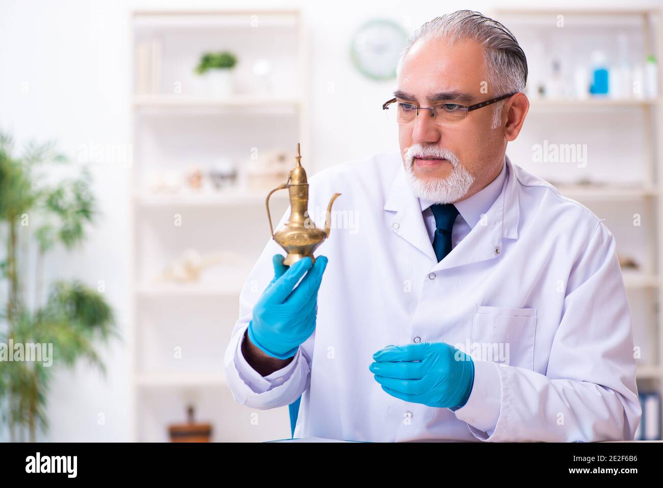 Old male archaeologist working in the lab Stock Photo - Alamy