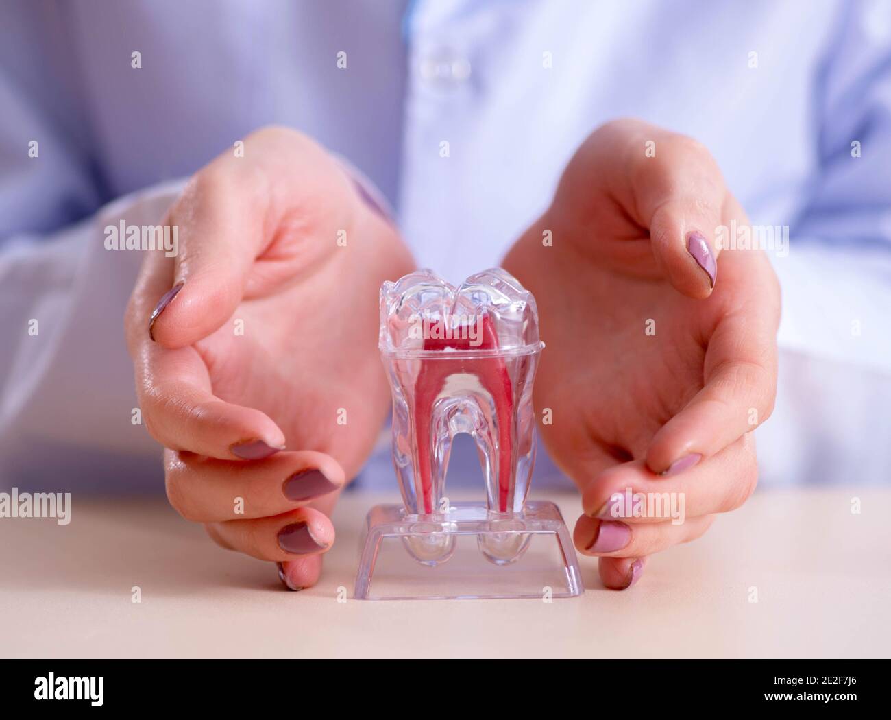 The dentist practicing work on tooth model Stock Photo - Alamy