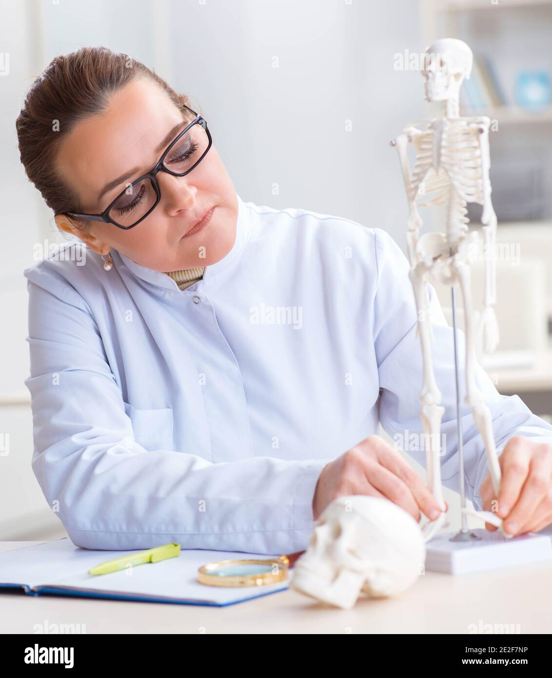 The woman doctor studying human skeleton Stock Photo - Alamy