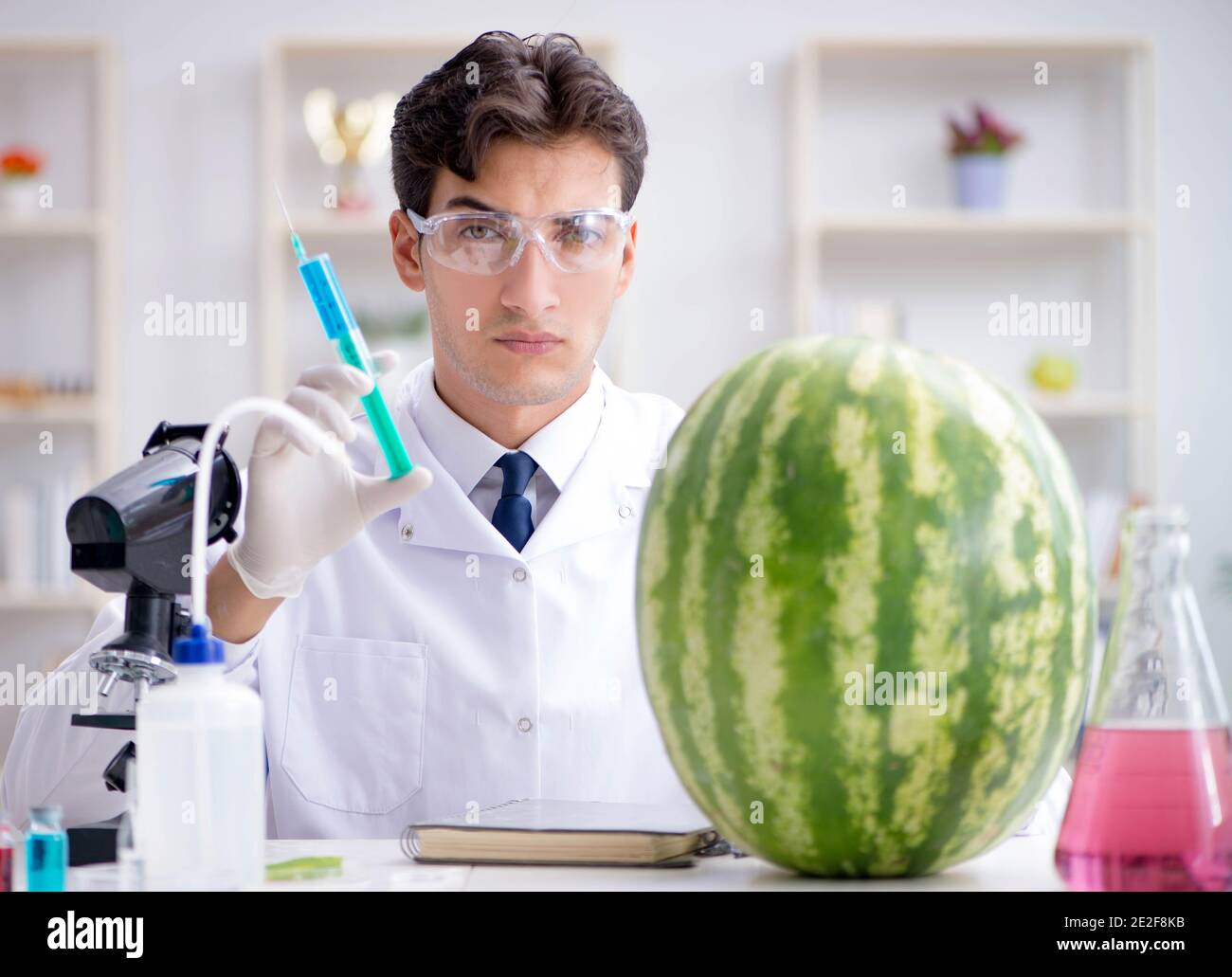 The scientist testing watermelon in lab Stock Photo - Alamy