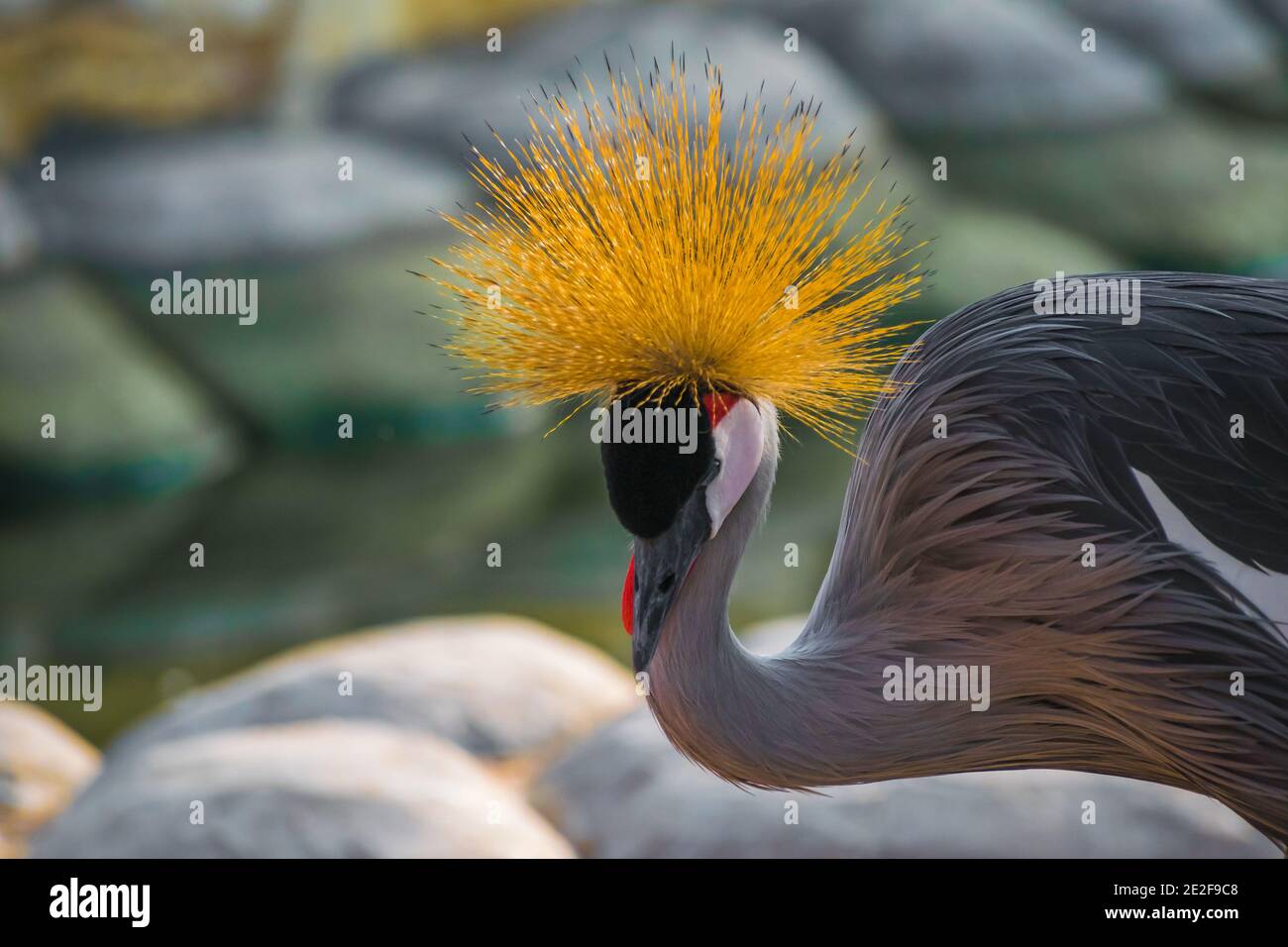 Al areen bahrain hi-res stock photography and images - Alamy
