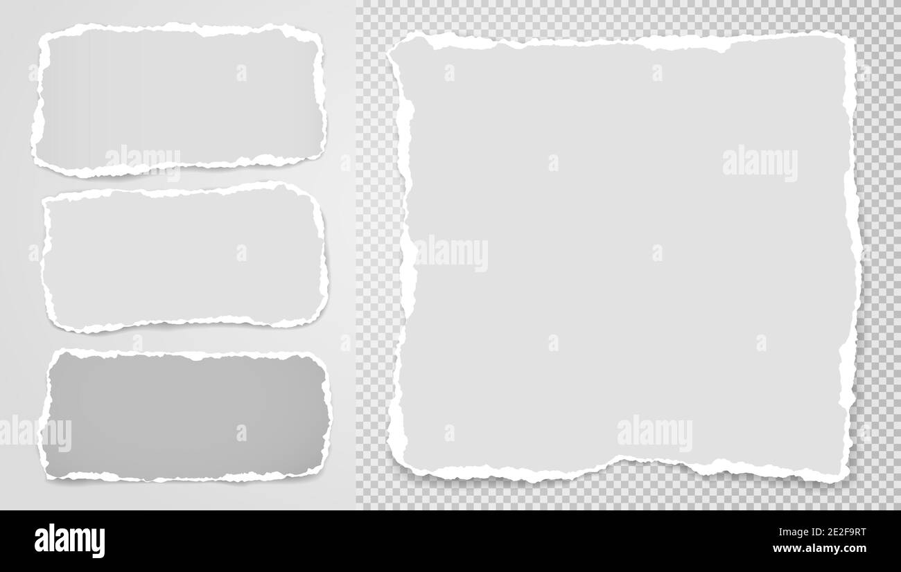 Set of torn white note, notebook paper pieces stuck on blank and grey ...