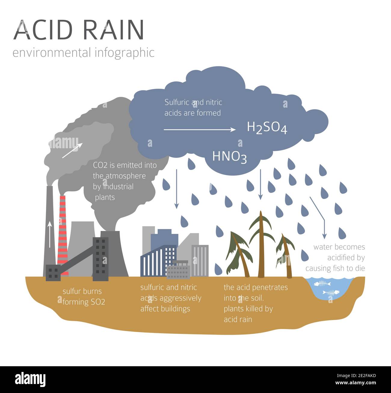 Global environmental problems. Acid rain infographic. Vector ...