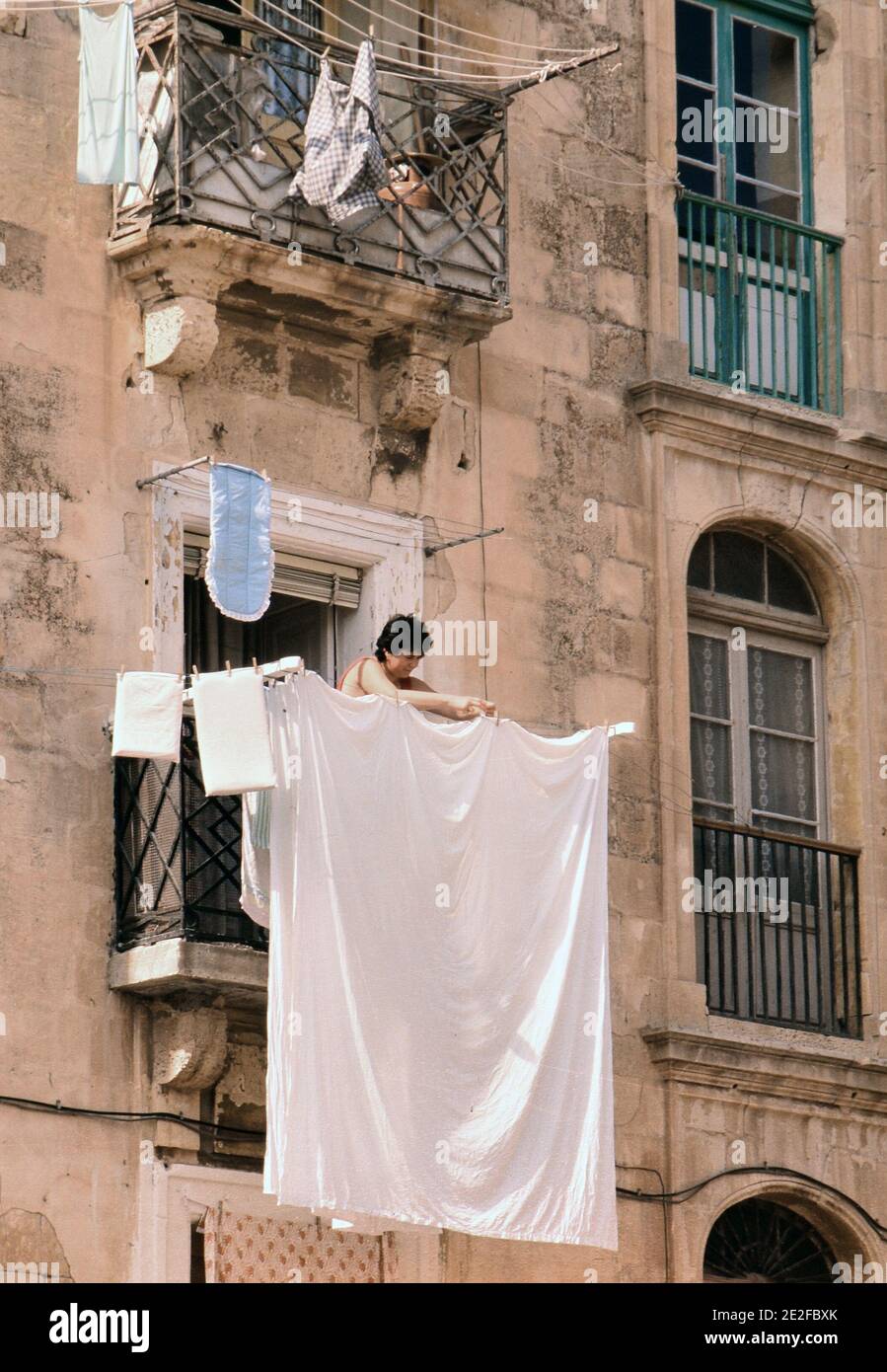 Photographer: Joan Iaconetti Stock Photo - Alamy