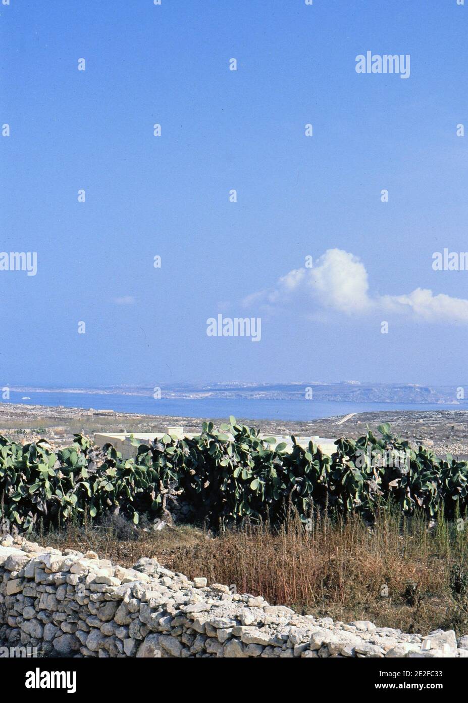 Gozo countryside 1990s hi-res stock photography and images - Alamy