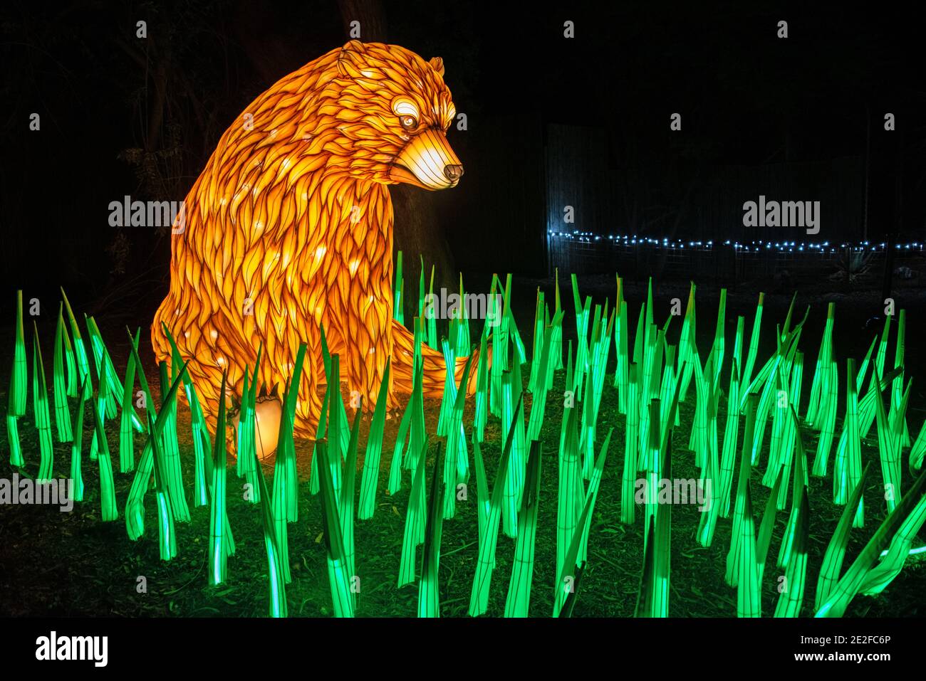 Bear Zoo Light Display Stock Photo - Alamy