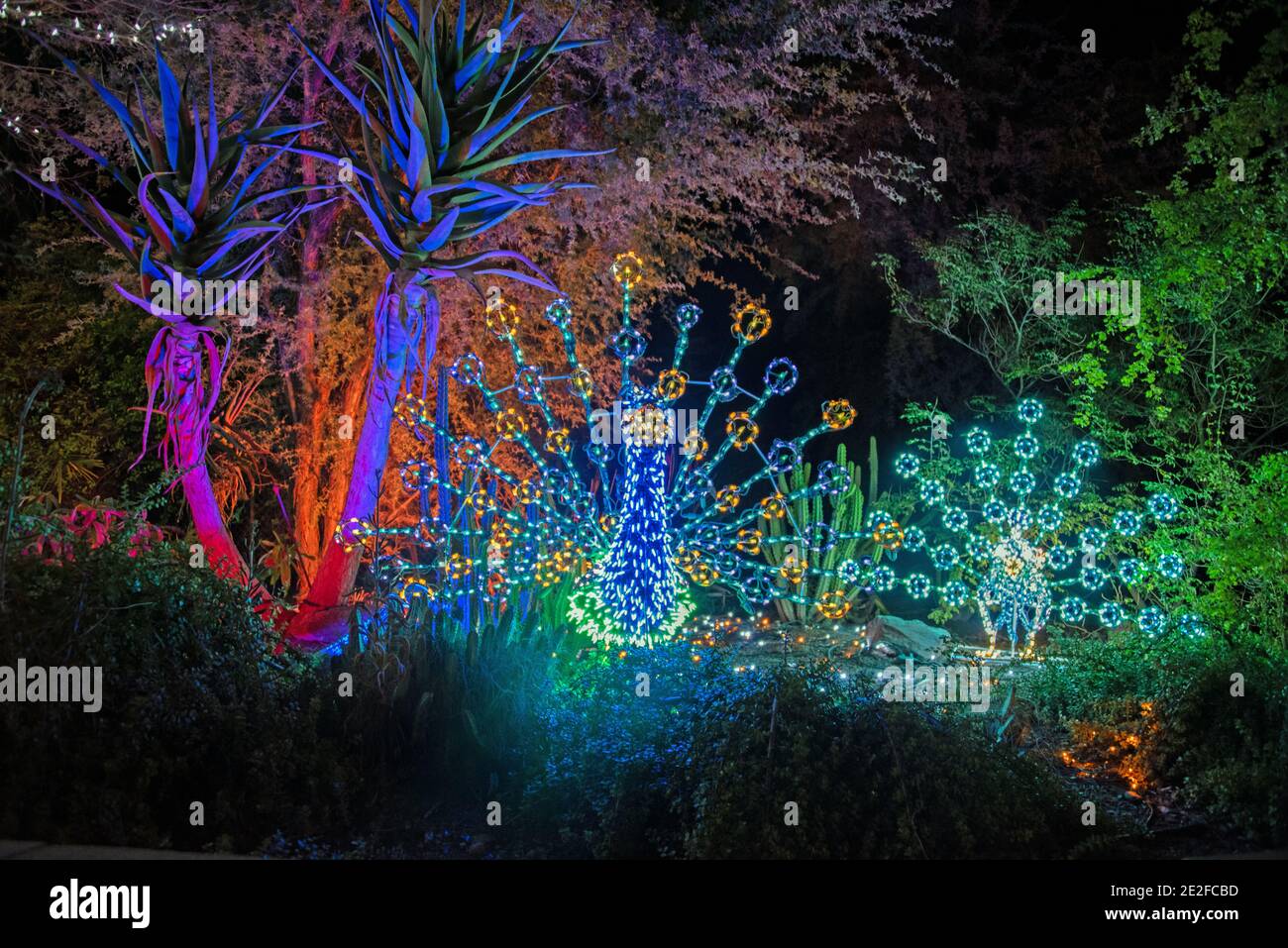 Phoenix zoo lights hi-res stock photography and images - Alamy