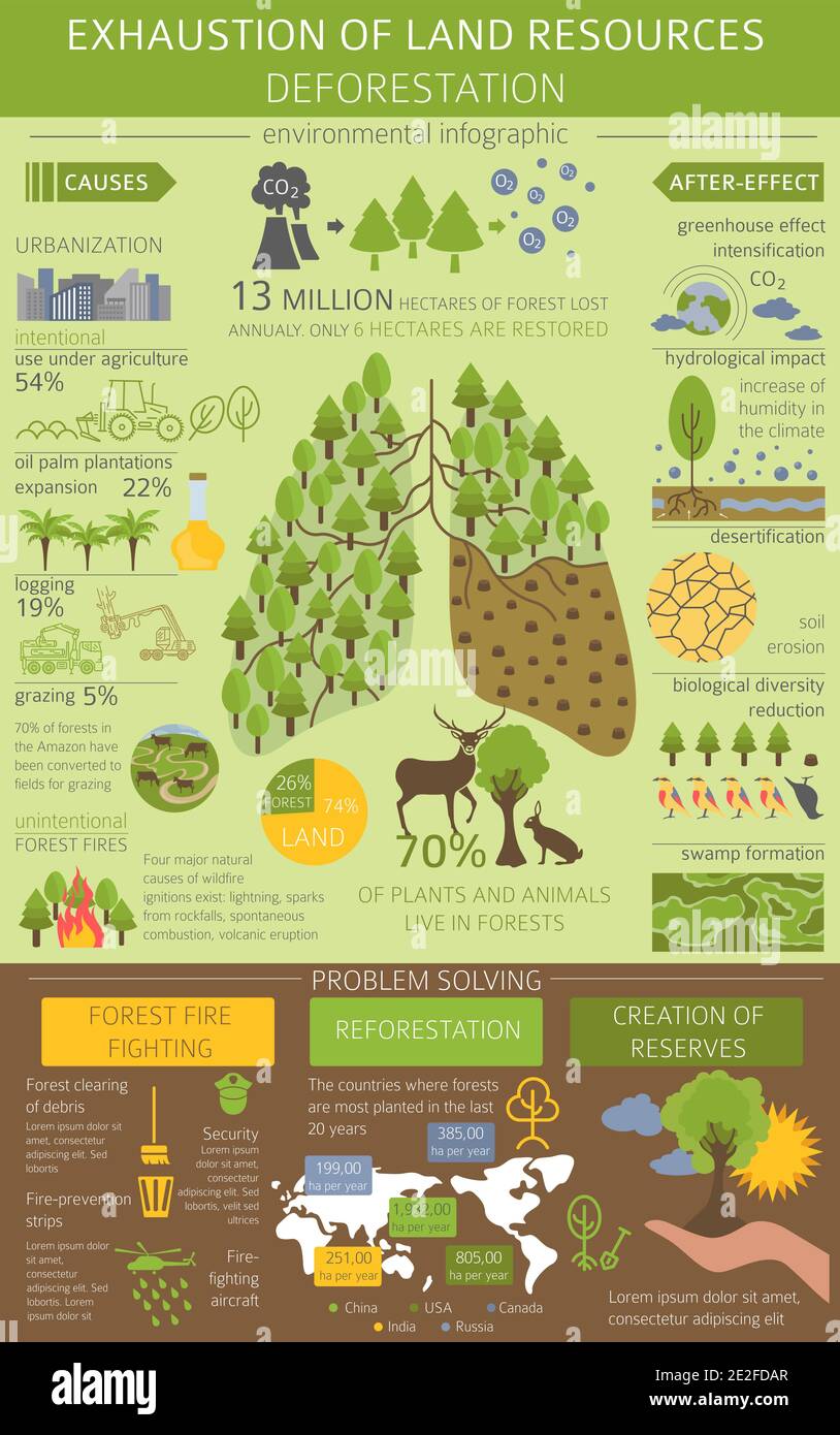 Deforestation Infographic Another Of Our Sustainability Infographic