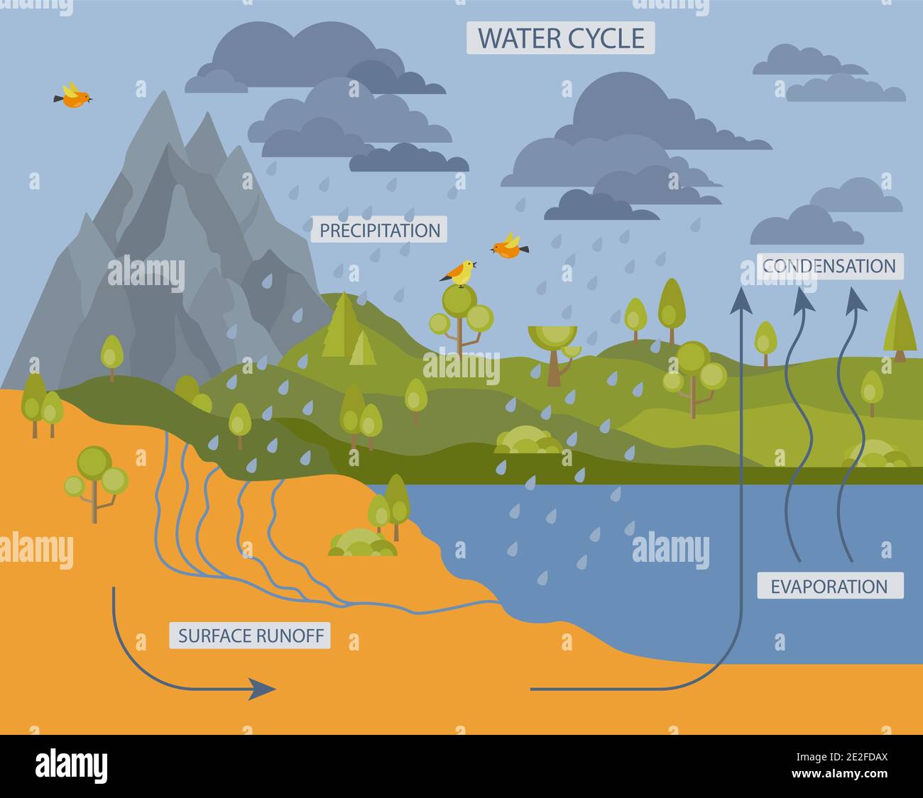Water cycle diagram hi-res stock photography and images - Alamy
