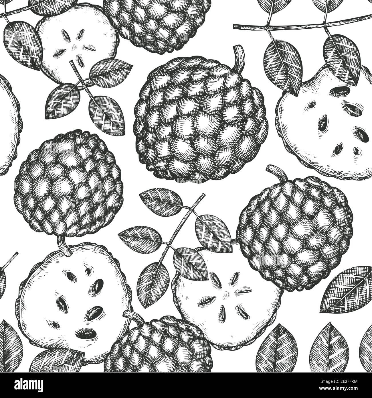 Hand drawn sketch style cherimoya seamless pattern. Organic fresh fruit ...
