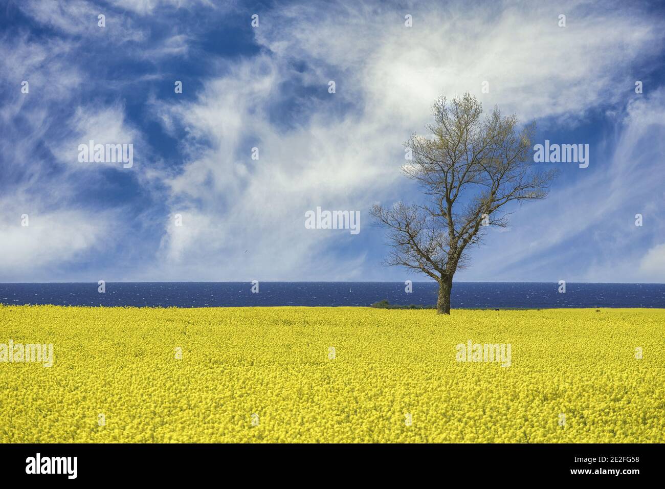 Astounding landscapes hi-res stock photography and images - Alamy