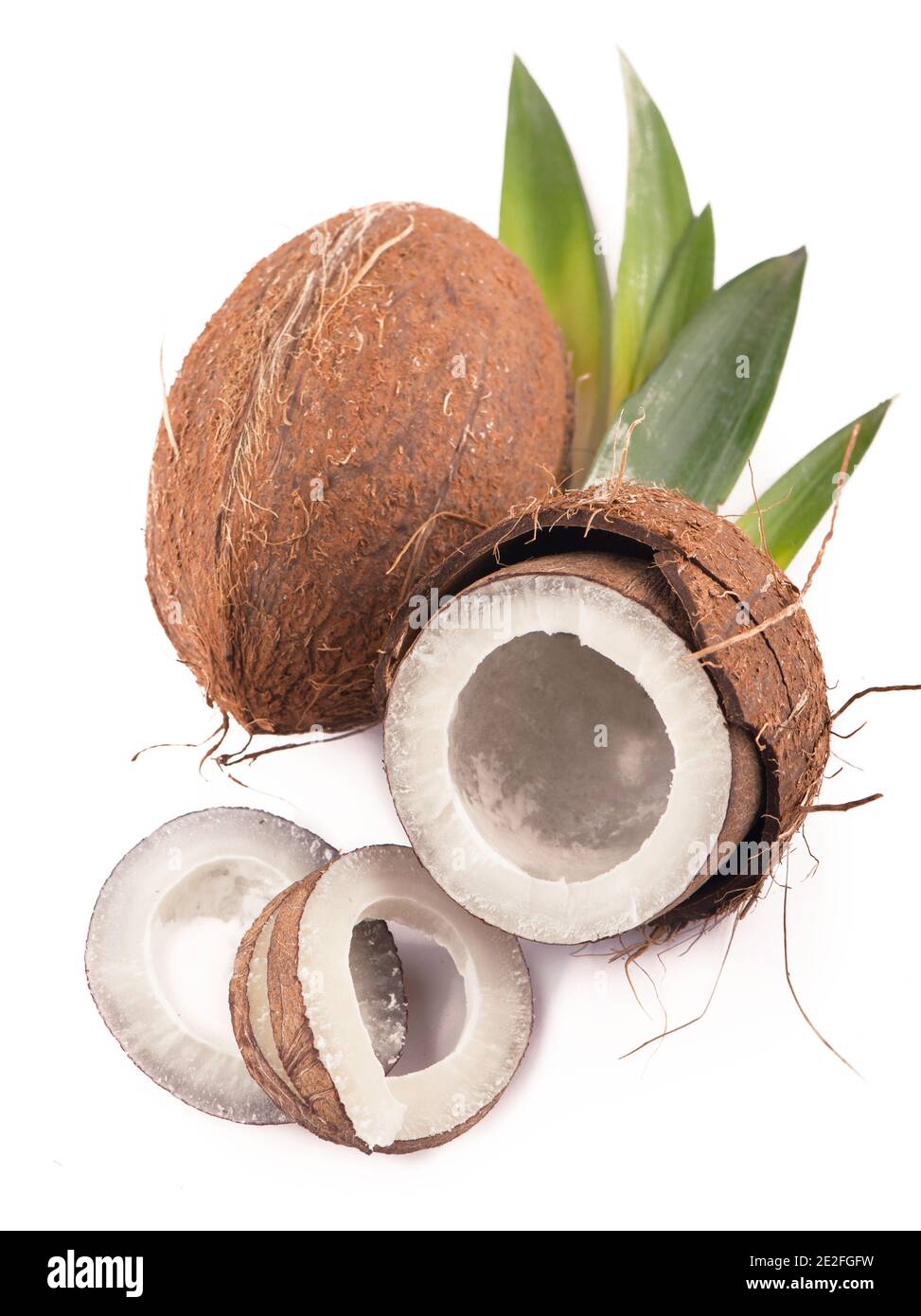 Top section of a coconut tree Cut Out Stock Images & Pictures - Alamy