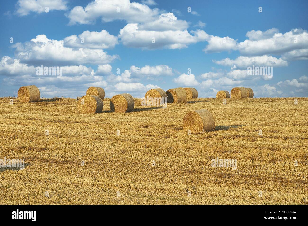 Roles horizontal hi-res stock photography and images - Alamy