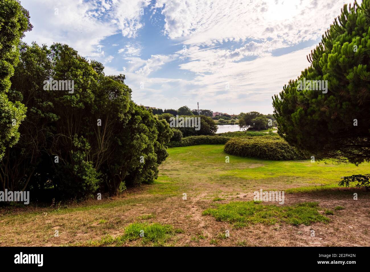 Horizontal shot of the Porto City Park in Portugal. Plain ground with ...