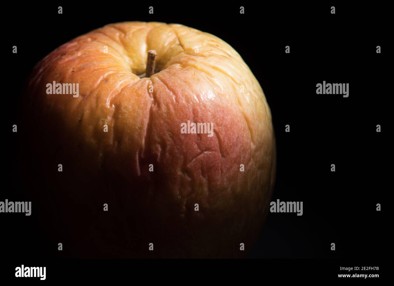 Shriveled yellow and red apple with deep wrinkles on black background ...