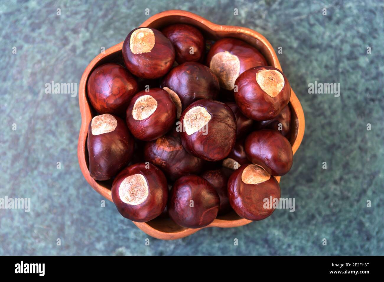 Buckeye Chestnut in wooden bowl on marble surface. Top View formation ...