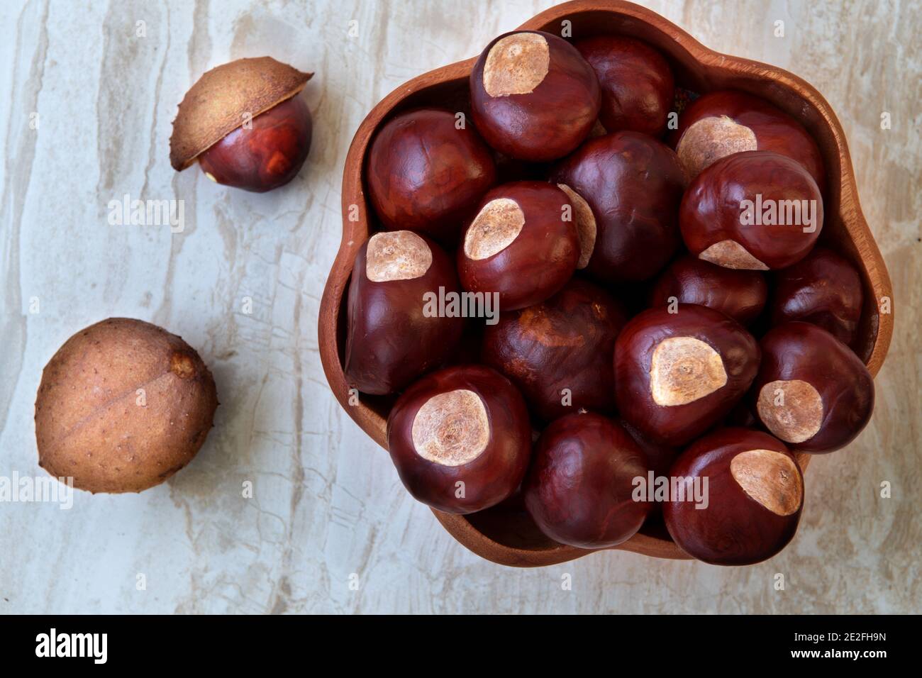Buckeye Chestnut in wooden bowl on marble surface. Top View formation ...
