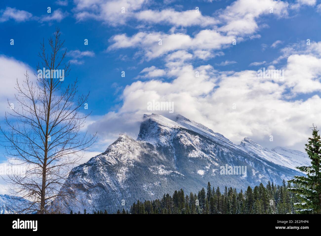 Close-up snow-covered Mount Rundle with snowy forest. Banff National ...