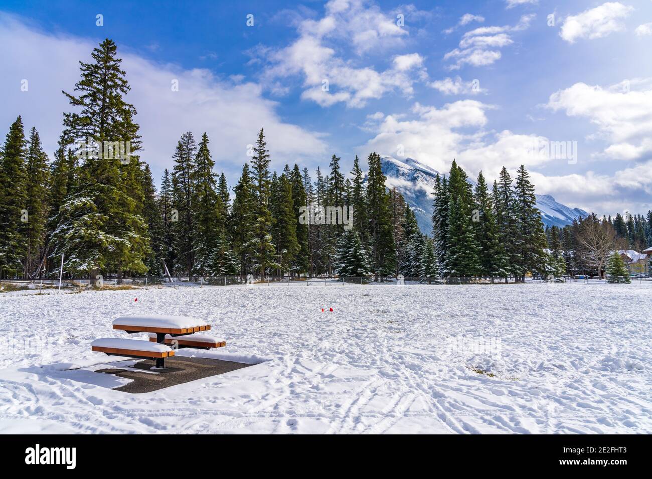 Snowy wooden bench in Banff Recreation Grounds in snowy winter. Banff ...