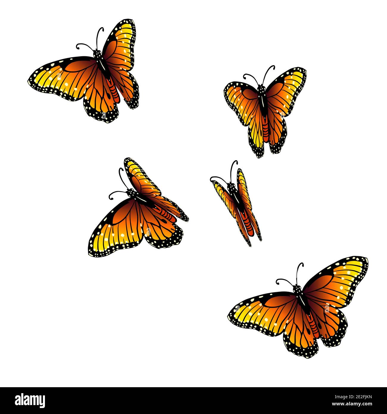 Flying orange butterflies. Vector illustration Stock Vector Image & Art ...