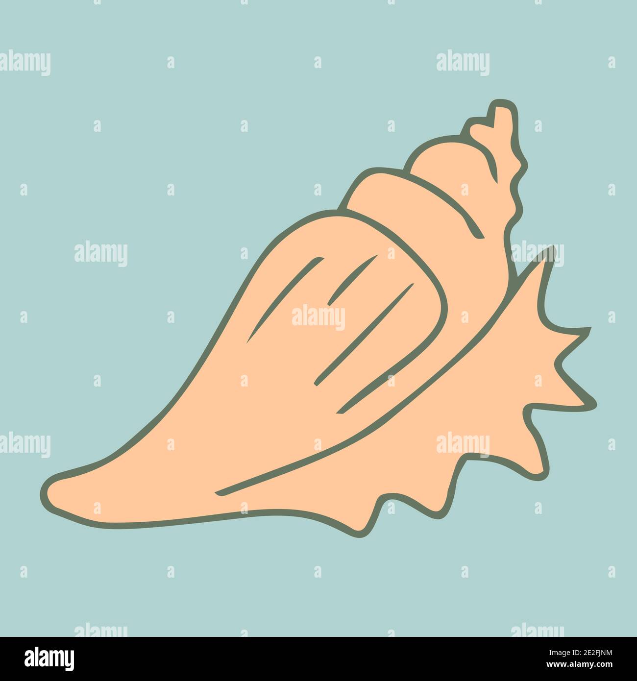 Shell illustration Stock Vector Images - Alamy
