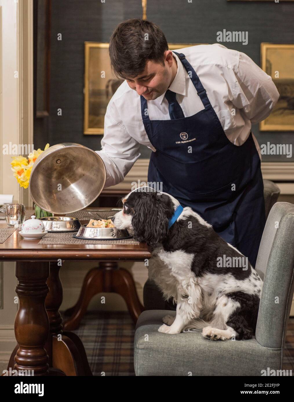 Black waitress fine dining hi-res stock photography and images - Alamy