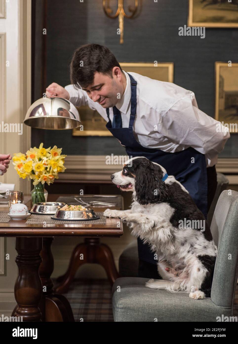 Black waitress fine dining hi-res stock photography and images - Alamy