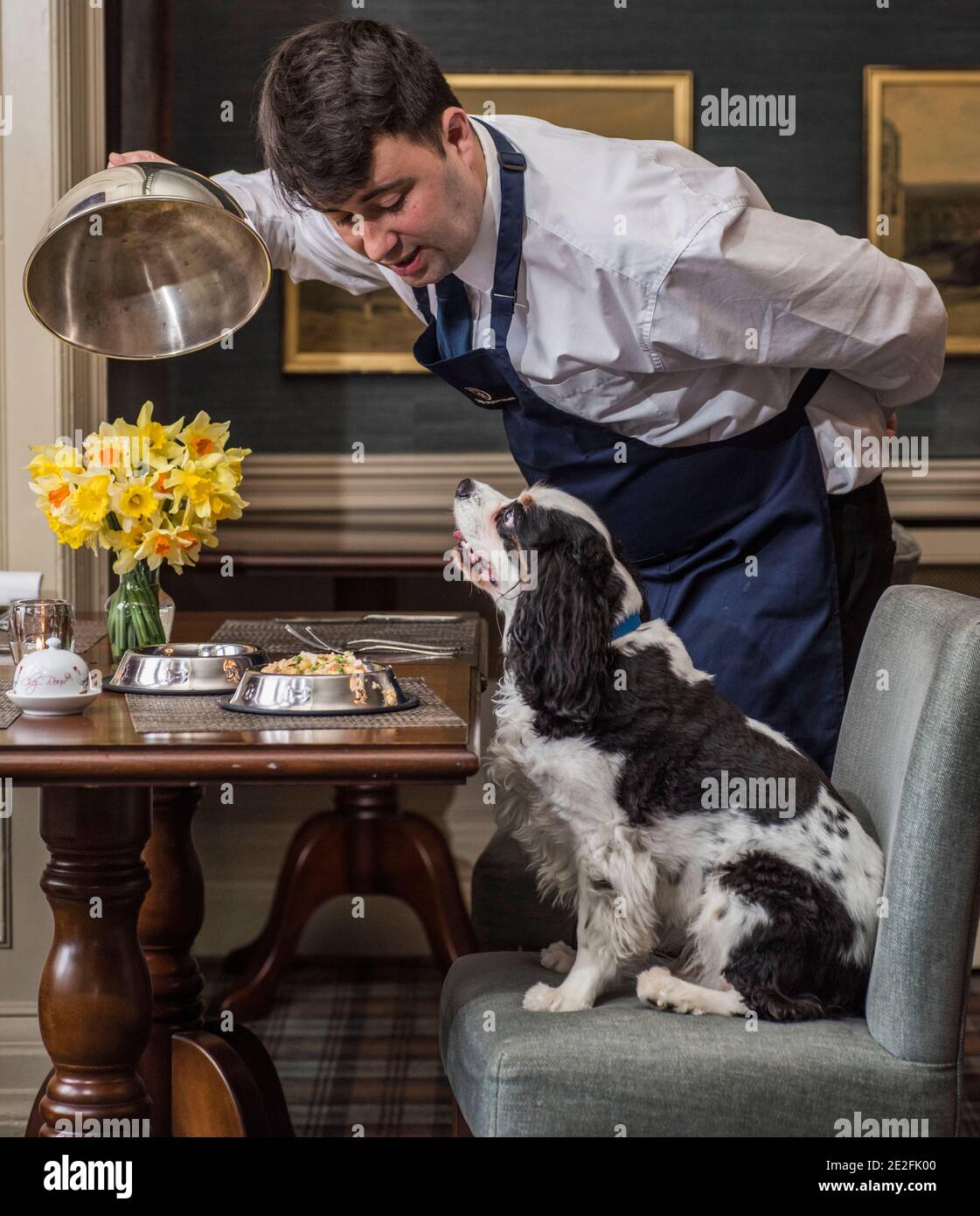 Black waitress fine dining hi-res stock photography and images - Alamy