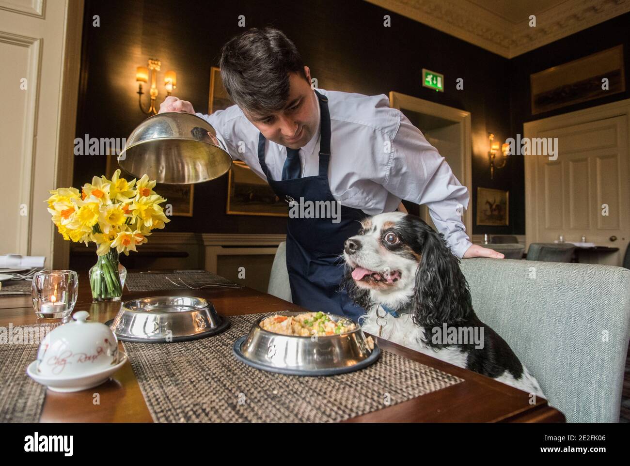 Black waitress fine dining hi-res stock photography and images - Alamy