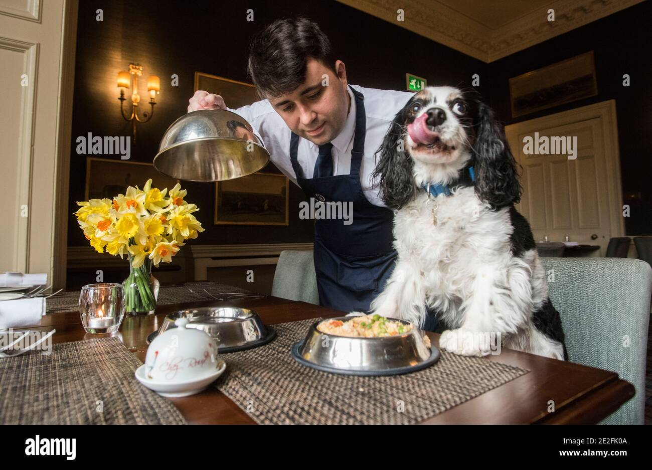 Black waitress fine dining hi-res stock photography and images - Alamy