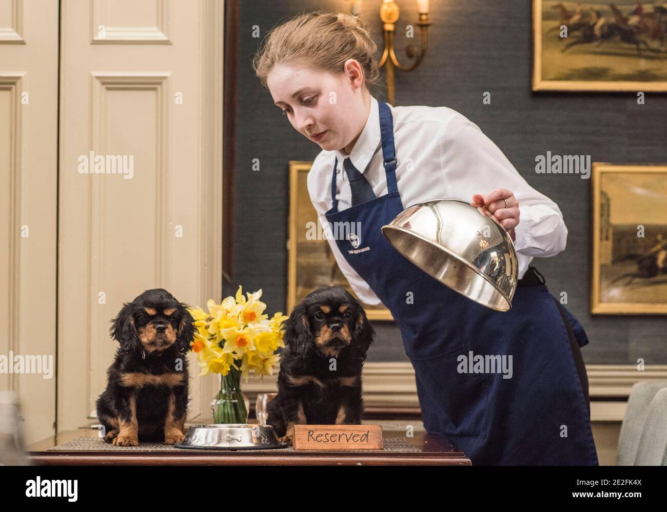 Black waitress fine dining hi-res stock photography and images - Alamy