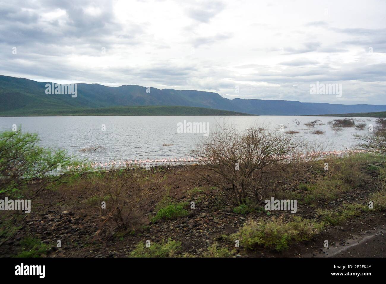 Lake bogoria hi-res stock photography and images - Alamy