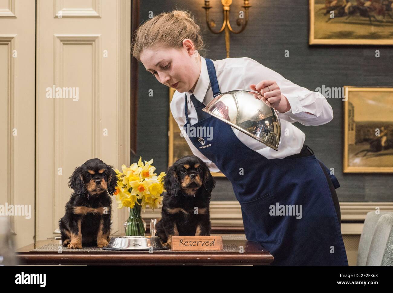 Black waitress fine dining hi-res stock photography and images - Alamy