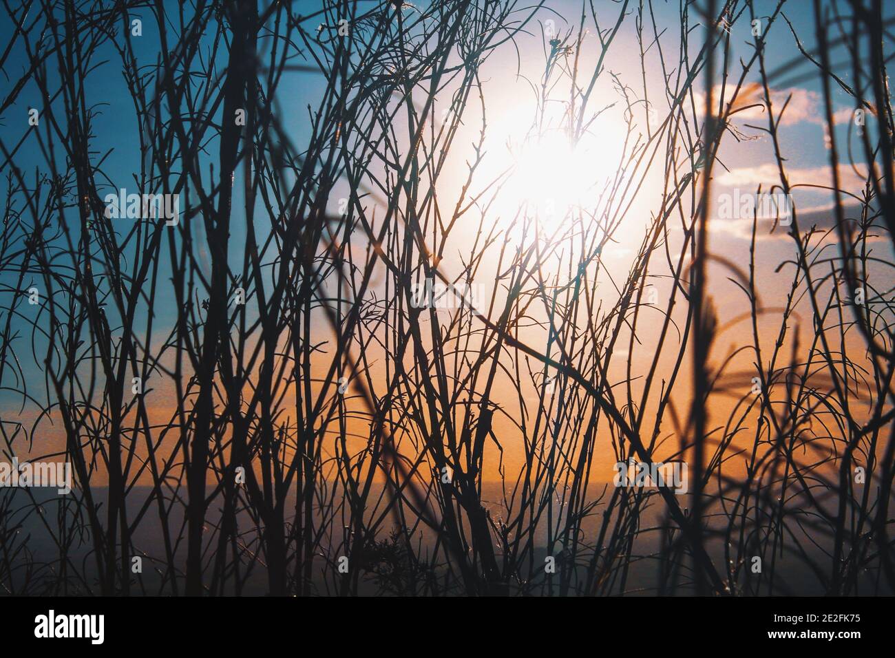 In kenya stock hi-res stock photography and images - Alamy