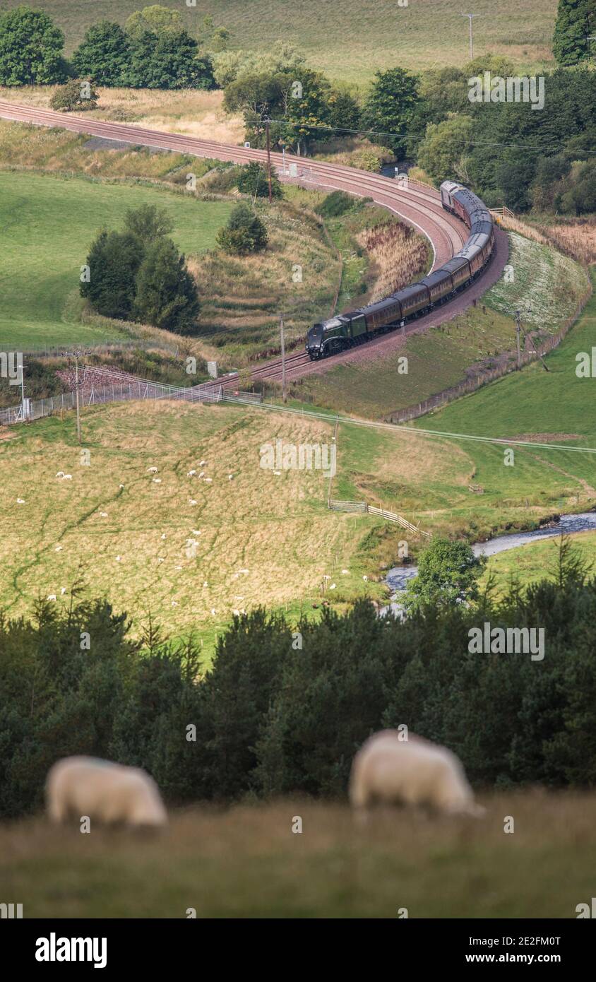 The steam train service approaches Stow in the Scottish Borders today ...