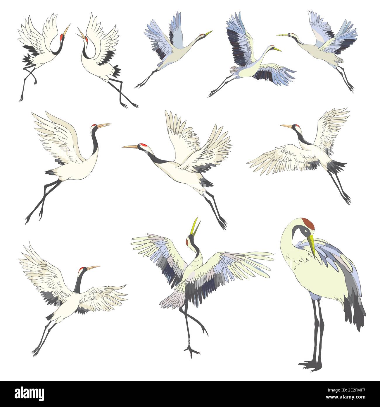 Crane, illustration, bird in flight Design element Vector Stock Vector ...