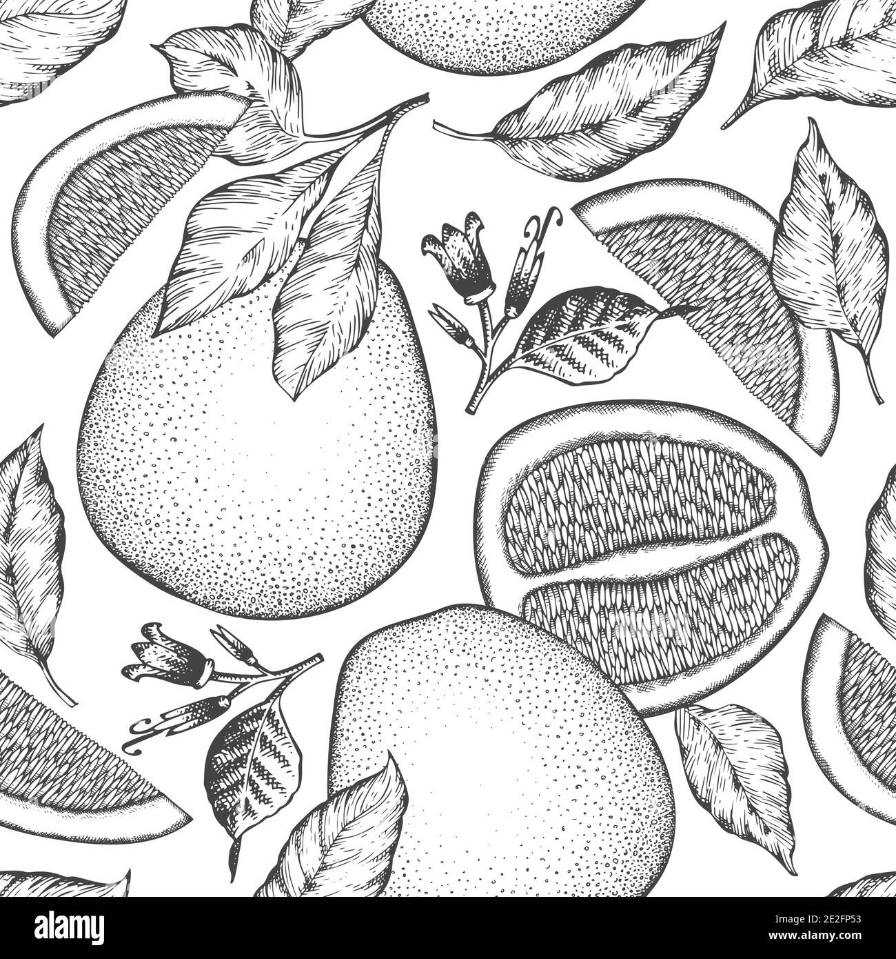 Hand drawn sketch style pomelo seamless pattern. Organic fresh fruit ...