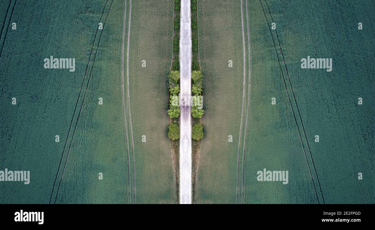 Illustration of the road with landscaped fields Stock Photo - Alamy