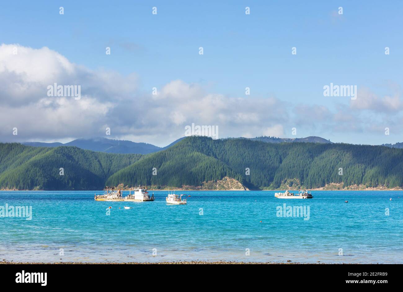 Beautiful landscapes it the Ocean Beach, New Zealand. Inspiring natural ...