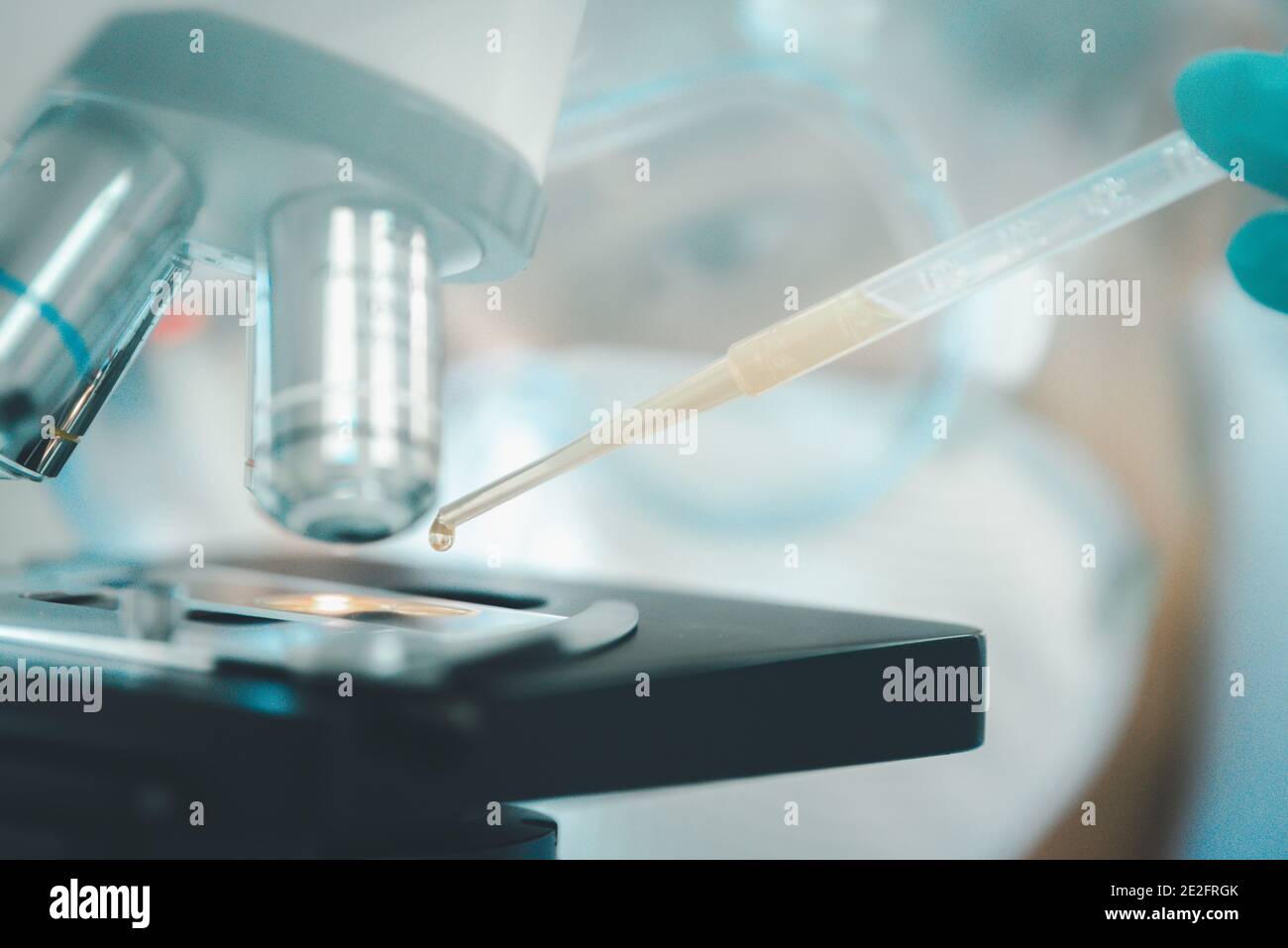 Doctor or scientist using pipette to drop a sample to test plate in ...
