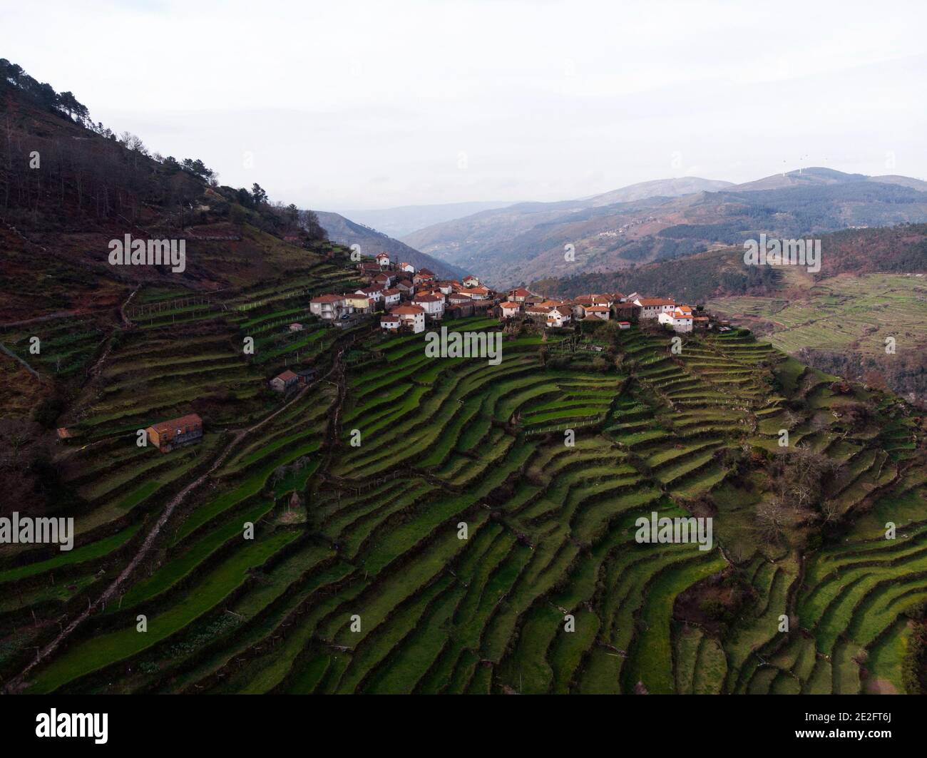 Aerial panorama of green agriculture farming terraces traditional old ...